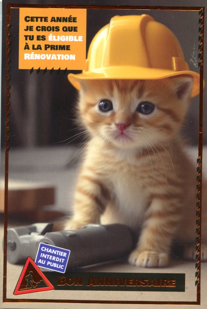 CARNETS HUMORISTIQUES