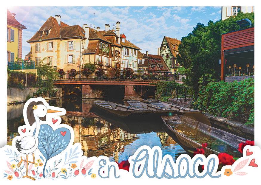 CARTE POSTALE 10x15cm ALSACE - Exclusivité FB DIFFUSION - FB Diffusion